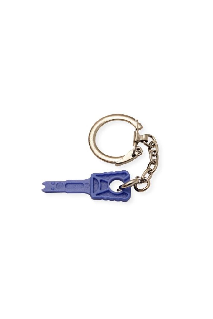ROLINE Lockable RJ45 Plug with Key - SOMI NETWORKS